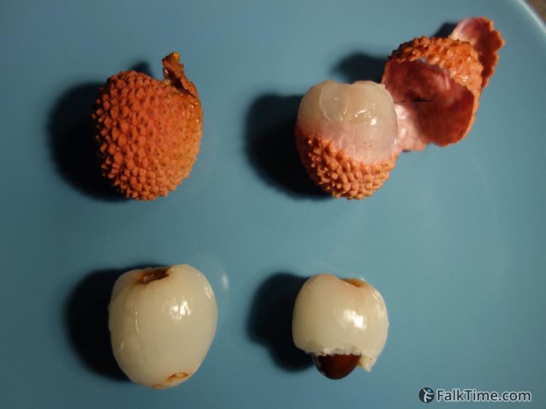Lychee | Thailand.FalkTime